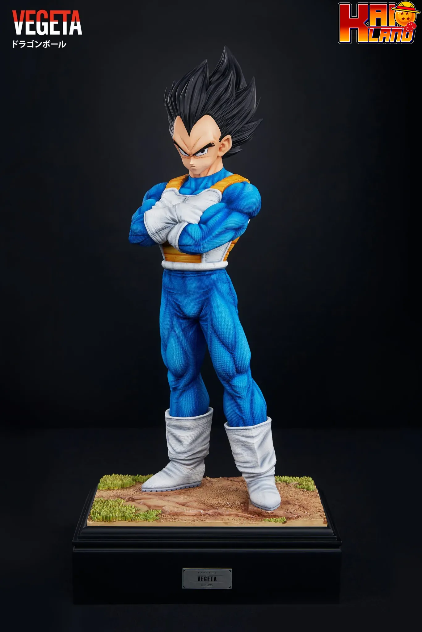 Dragon Ball OOTD Studio Vegeta Resin Statue - Kaioland