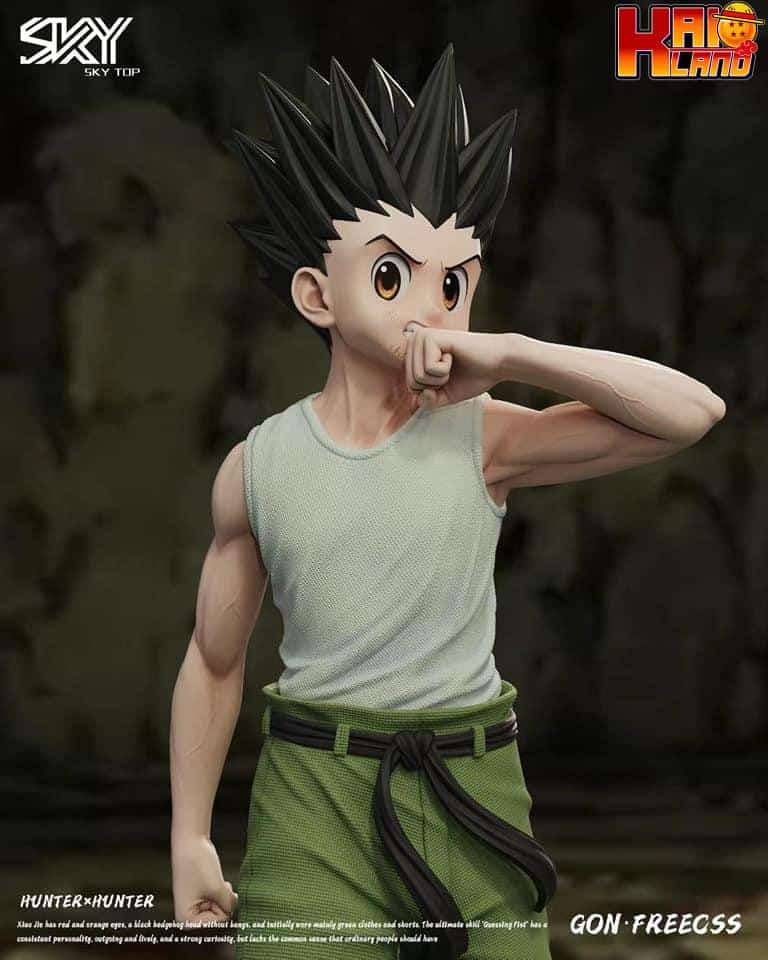 Statua in resina Hunter X Hunter Sky Top Studio Gon Freecss - Kaioland