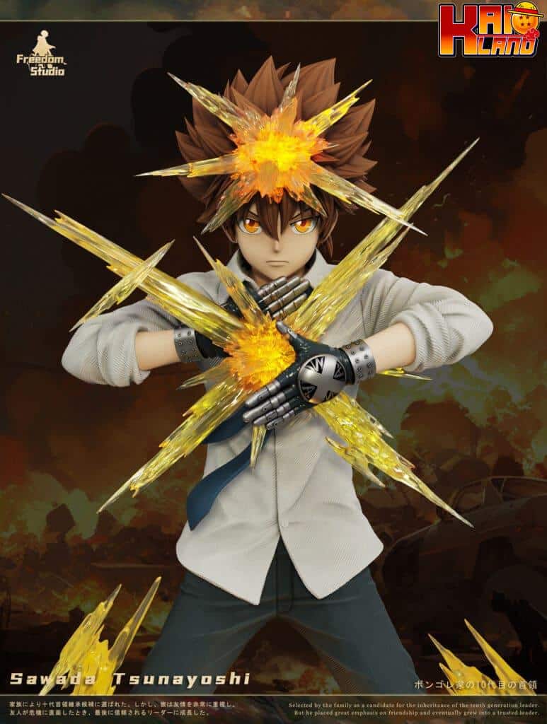Katekyo Hitman Reborn Freedom Studio Sawada Tsunayoshi Resin Statue ...